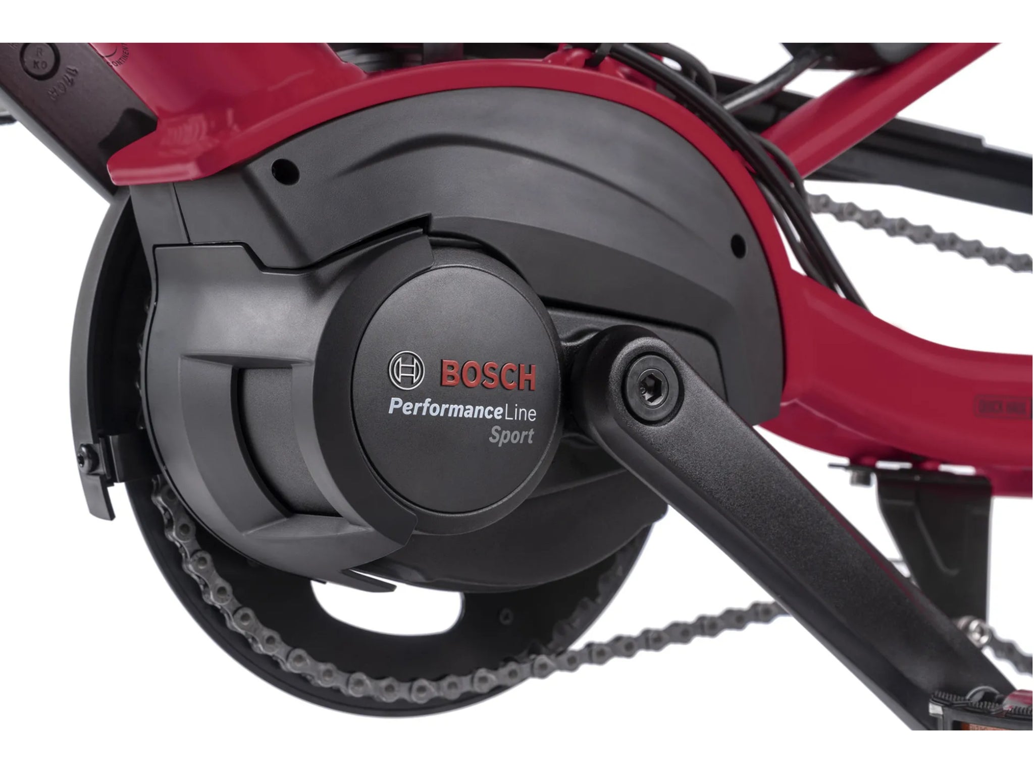 Tern Quick Haul P9 Sport – Fly Rides USA